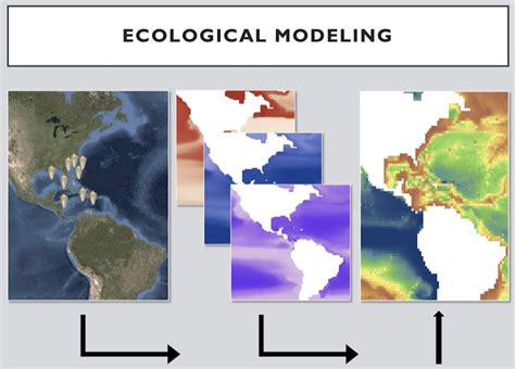 Ecological Niche