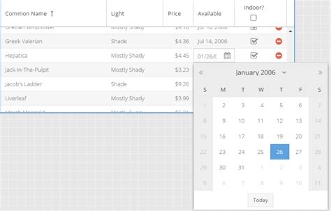 Javascript Extjs Datefield Looks Weird In My Grid Stack Overflow