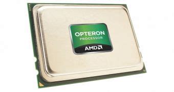 AMD Officially Releases Core And Core Opteron CPUs Softpedia