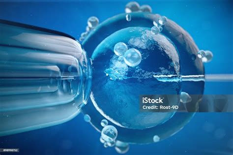 3d 그림 인공 수정 풍부 하 게 함을 계란 세포로 주사 정자 보조 생식 치료입니다 사람들에 대한 스톡 사진 및 기타 이미지 사람들 줄기세포 6일 배아 Istock