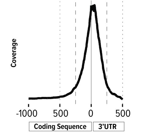 Rna Seq Sequencing Depth At Cameron Coppin Blog