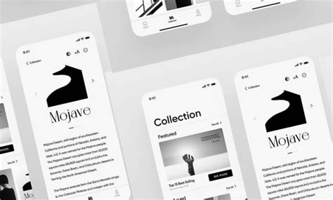Design Mobile App Ui Ux Or Website Ui Ux Design In Figma By Camilapro Fiverr