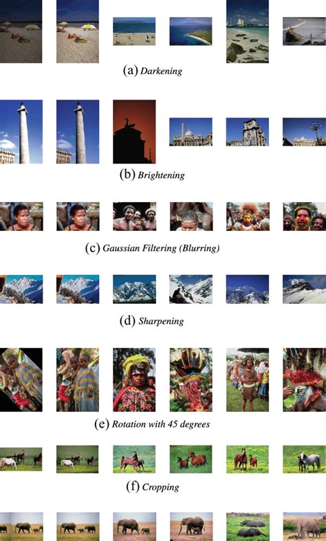 Some Examples Of Robustness Evaluation The First One Is Query Image
