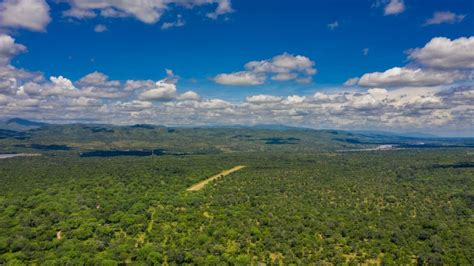 Tom Coetzee On Linkedin Great Work African Parks Network