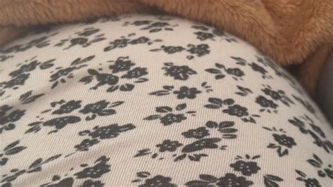 Pregnant Belly Movements EllieLouise Clips Sale