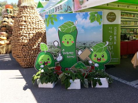 포토갤러리 정선수리취떡명품화사업단