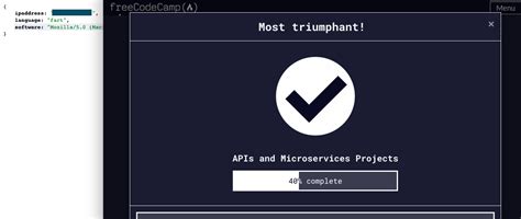 Request Header Parser Microservice Check For Language Accepts Any