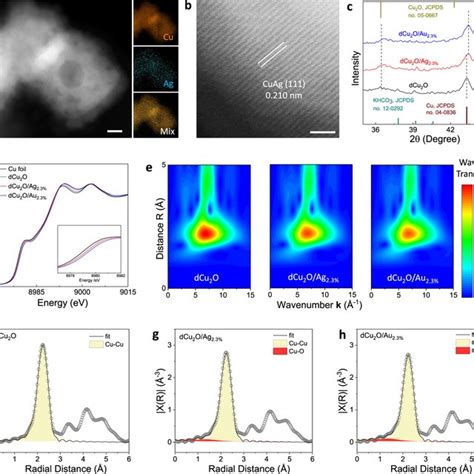 Shizhang Qiao University Of Adelaide Adelaide School Of Chemical Engineering