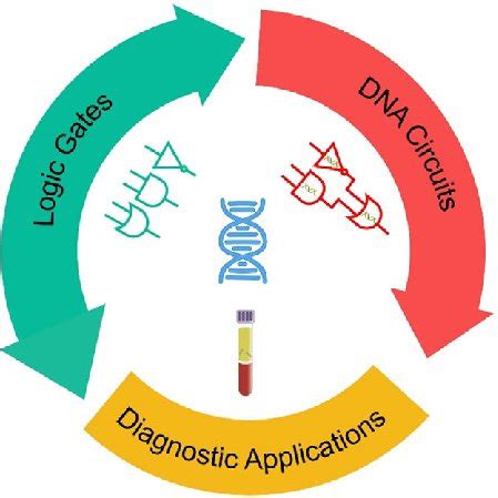 PDF DNA Computing Principle Construction And Applications In Intelligent Diagnostics