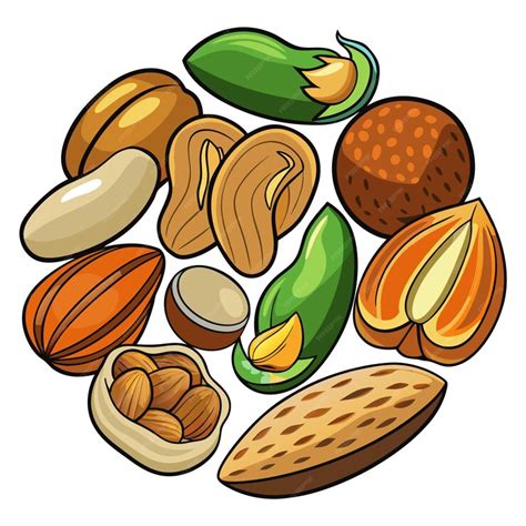 Set Of Different Nuts Clip Art And Vector Design With White Background Premium Ai Generated Vector