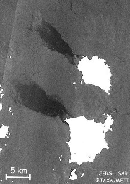 Extract From The Jers 1 Sar Global Rain Forest Mapping Grfm Mosaic Of