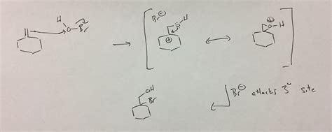Organic Chemistry Addition Of Hobr Across Cc