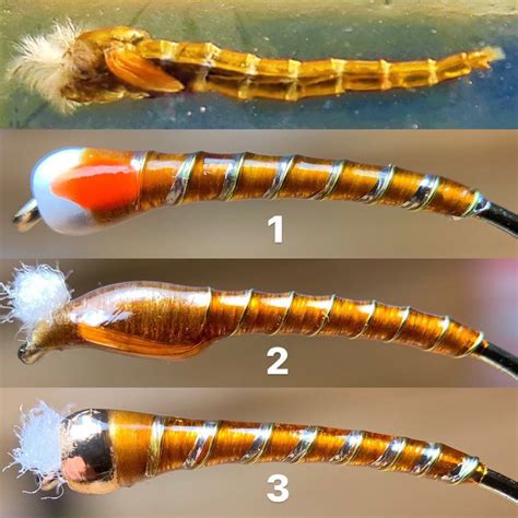 Bc Flyguys On Instagram We Need Your Help The Top Picture Shows A