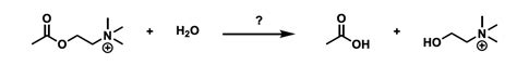 solved determine the name of each class and subclass