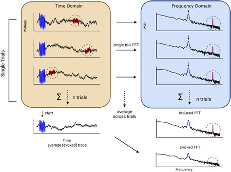 schematic illustration comparing induced and evoked fft methods