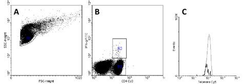 Example Cytometry Plots And Gating Strategy For Measurement Of Download Scientific Diagram