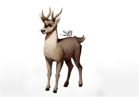 Taruca Deer By Nissa Traveler On Deviantart