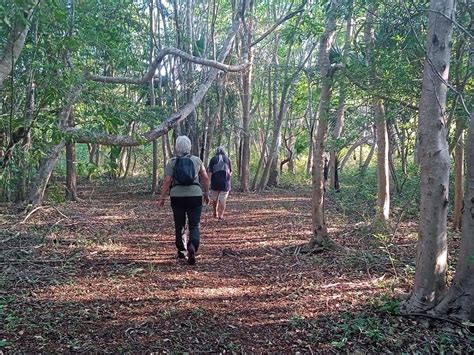 Bird Watching In Cayo Coco Loma De Cunagua CiÉnaga De Zapata Tour 7 Days 6 Nights