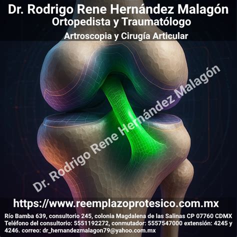 Revisiones bibliográficas TyO Web Selección de injerto de LCA según la edad y el deporte