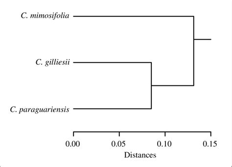 upgma phenogram derived from average taxonomic distance for the