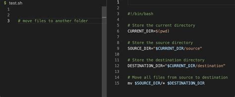 Cant Run Code Gpt On Bash Script With Vscode Rcodegptvscode