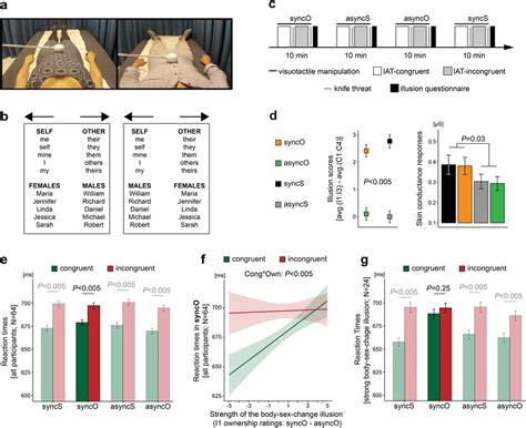 The Body Sex Change Illusion Balanced Implicit Associations Between The Download Scientific