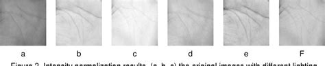 Figure 2 From High Performance Palmprint Identification System Based On