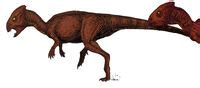 Nemegt Formation Fossil Wiki Fandom