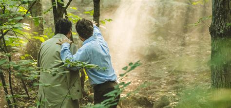 The Sea Of Trees Movie Watch Streaming Online