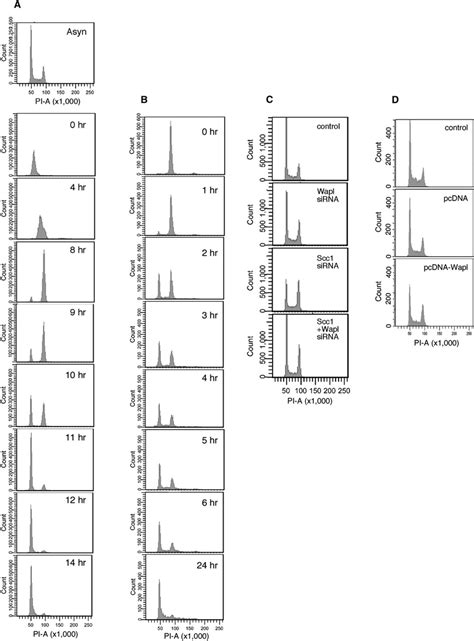 Figure S2 Facs Analyses A Facs Analysis Of Hela Cells Released Into