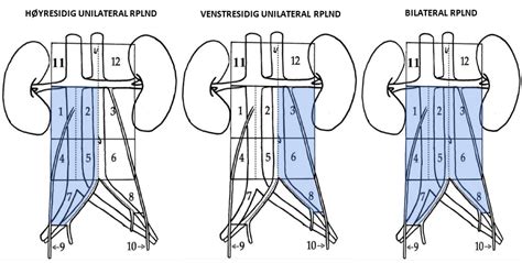 Rplnd Helsedirektoratet