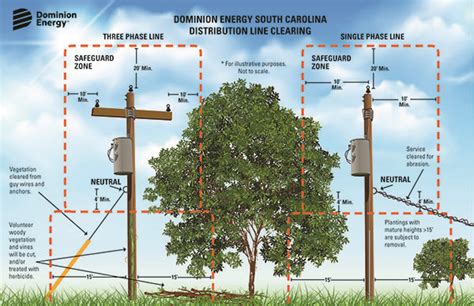 Minimize Traumatic Cutting And Spraying Under Power Lines In Your Yard Sherwood Forest