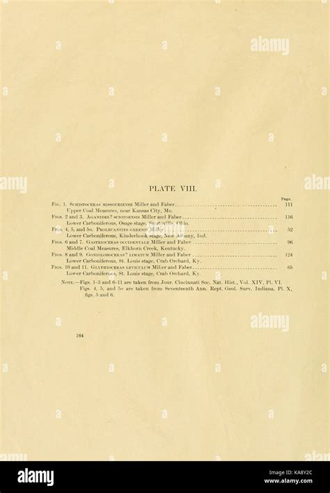 The Carboniferous Ammonoids Of America Page 164 Description Of Plate Viii Bhl13768380 Stock