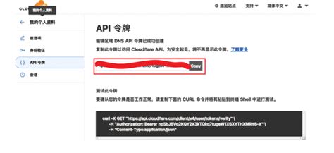windows下ddns go配置ddns，通过cloudflare api修改指定域名对应的动态ip 水东柳