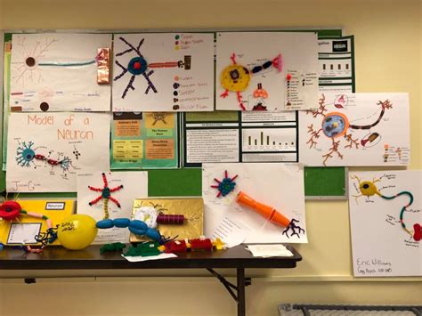 Neuron Project Model