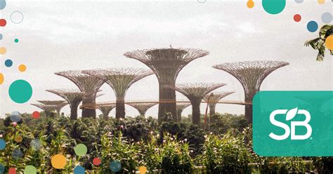 How Singapore Became Asias Launch Pad For Sustainable Innovation And Tech