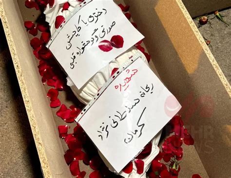 عکسهای واقعی ریحانه سلطانی دختری که با کاپشن صورتی شهید شد