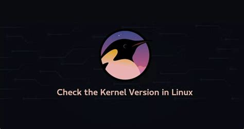 如何在Linux中检查内核版本 myfreax