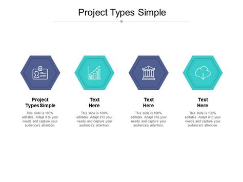 Project Types Simple Ppt Powerpoint Presentation Summary Guidelines Cpb