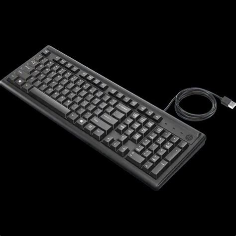 HP 100 Computer Wired Keyboard Size Regular At Rs 560 Piece In Dehradun ID 27047849548