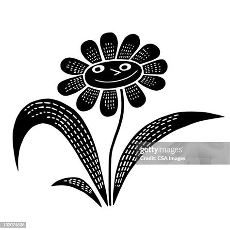 206 Smiley Face Flower High Res Illustrations Getty Images