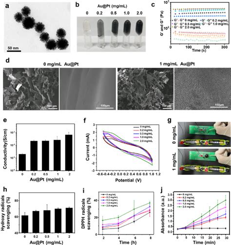 Preparation And Characterization Of Au Pt Alg Hydrogels A Tem Images Download Scientific