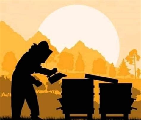 النحال محمد عبدالله السودان Rufa`a