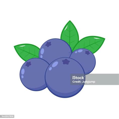 블루 베리 벡터입니다 흰색 바탕에 블루베리 상징 로고 디자인 0명에 대한 스톡 벡터 아트 및 기타 이미지 0명 건강한 식생활 과일 Istock