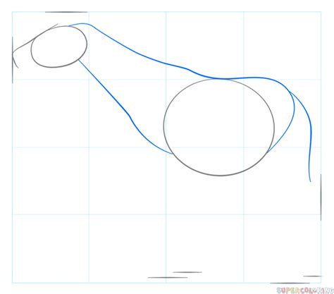How To Draw An Okapi Step By Step Drawing Tutorials