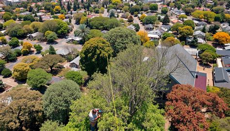 Tree Risk Assessment Costs 2025 For Johannesburg And Pretoria
