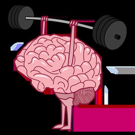 정기적인 운동이 뇌 건강에 미치는 긍정적인 영향