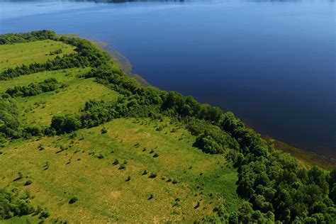 Участок сельхоз земли 48 65 Га в Псковской области на возвышенности