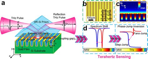 Schematic Working Principle Of The Phase Readout Plasmonic Sensor A Download Scientific