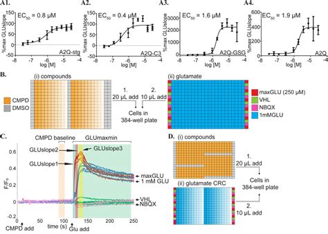 Fluo 8® Am Aat Bioquest